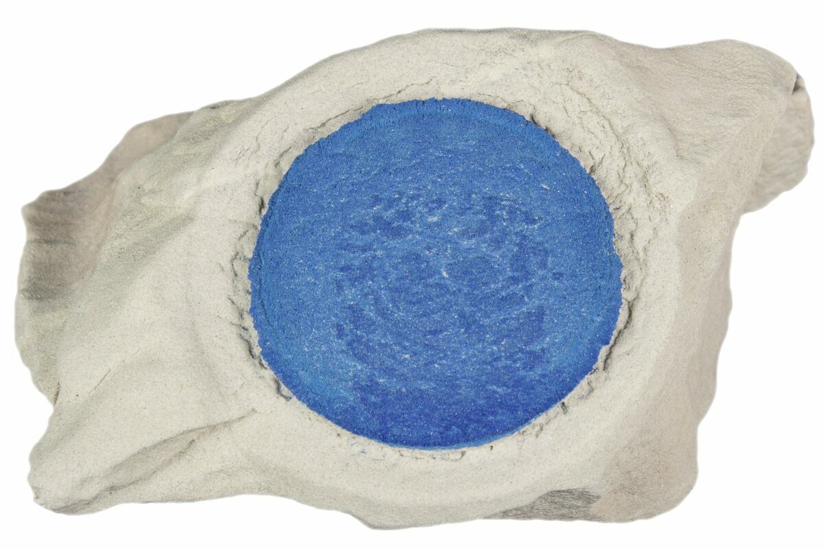 1.1" Vibrant Blue Azurite Sun on Siltstone - Australia (#188470) For ...