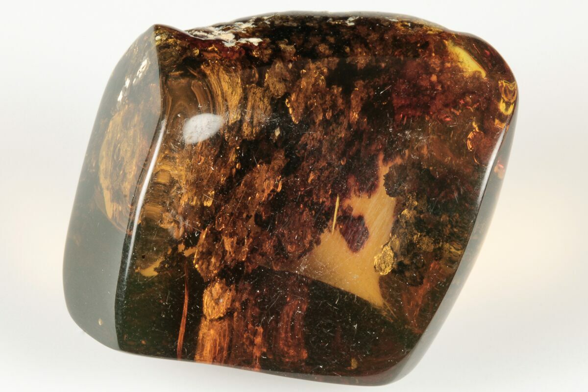 1.5" Polished Chiapas Amber (11 g) - Mexico (#193198) For Sale ...