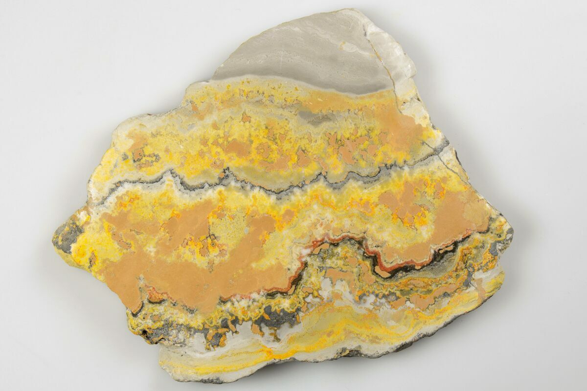 Bargain, 5" Polished Bumblebee Jasper Slab - Indonesia (#194368) For Sale - FossilEra.com