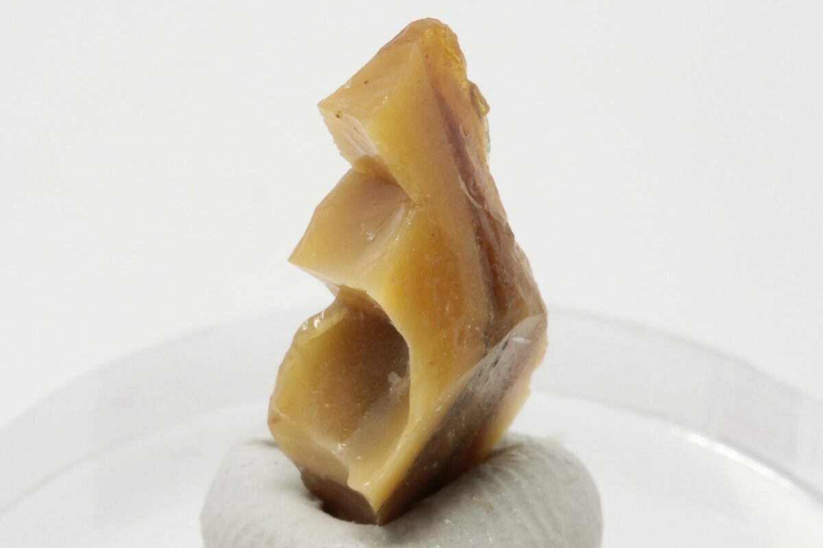 .55" Kansas Amber (Jelinite) Specimen - George Jelinek Collection ...