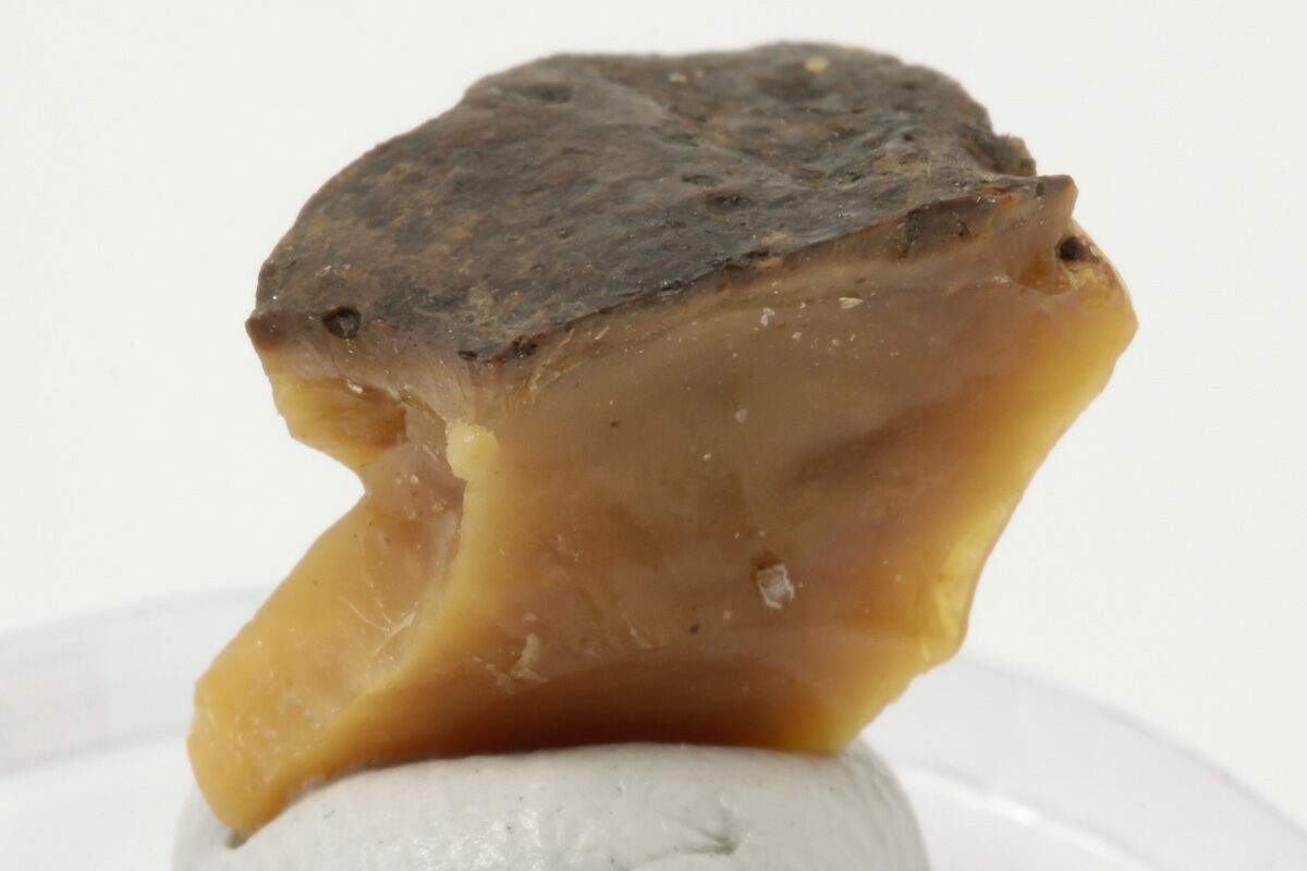 .5" Kansas Amber (Jelinite) Specimen - George Jelinek Collection ...