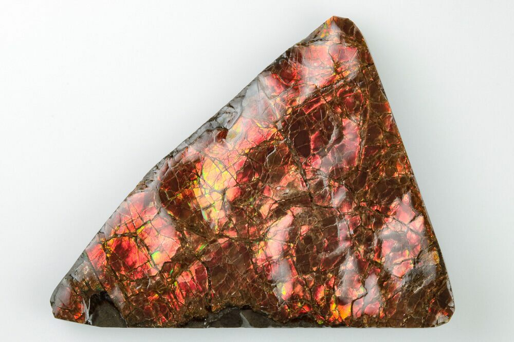 2.2" Iridescent Ammolite (Fossil Ammonite Shell) - Alberta, Canada ...