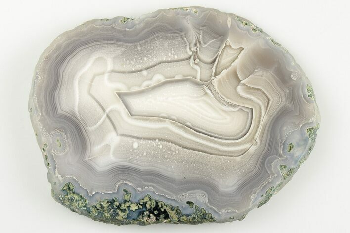 3" Polished Banded Agate Slice - Mexico (#198180) For Sale - FossilEra.com