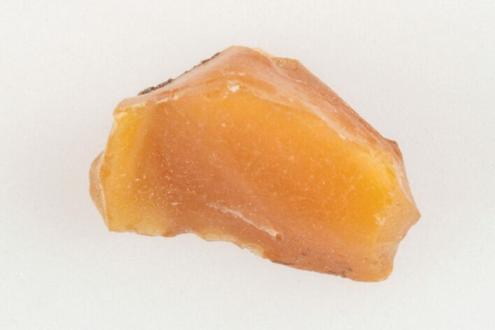 .26" Kansas Amber (Jelinite) Specimen - George Jelinek Collection ...