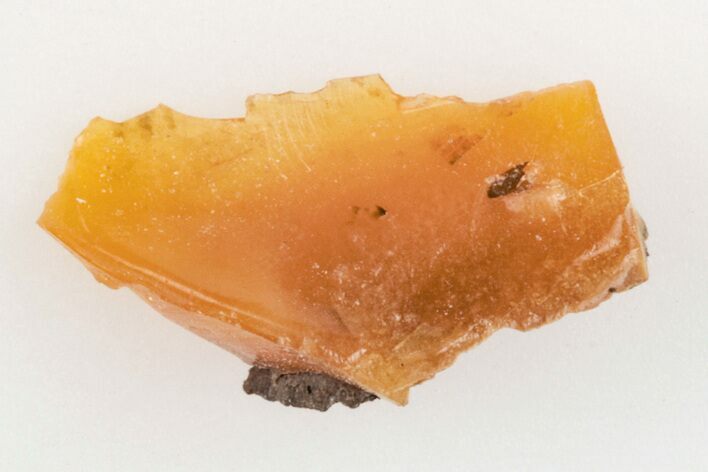 .34" Kansas Amber (Jelinite) Specimen - George Jelinek Collection ...