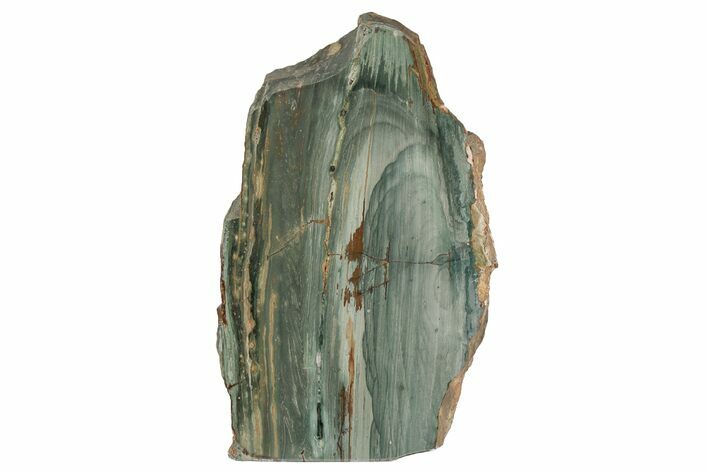 6" Gary Green Jasper (Larsonite) Bog Wood Stand Up - Oregon (#194158 ...
