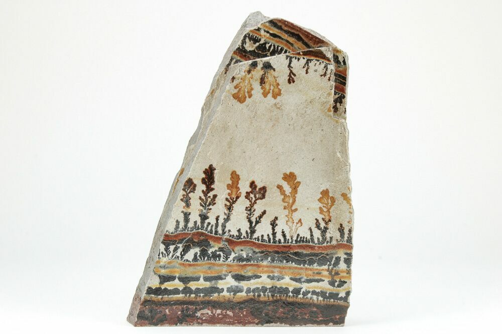 6.7" Dendrites On Limestone - Utah (#207801) For Sale - FossilEra.com