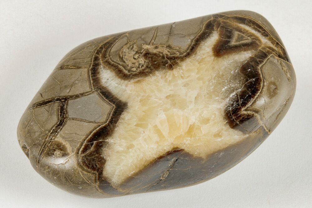 3.4" Wide, Polished Septarian Stone - Utah (#207830) For Sale ...