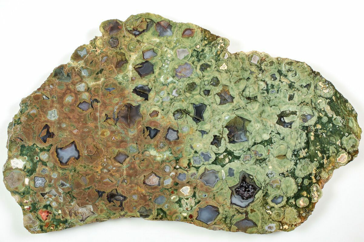 9.35" Polished Rainforest Jasper (Rhyolite) Slab - Australia (#208188 ...