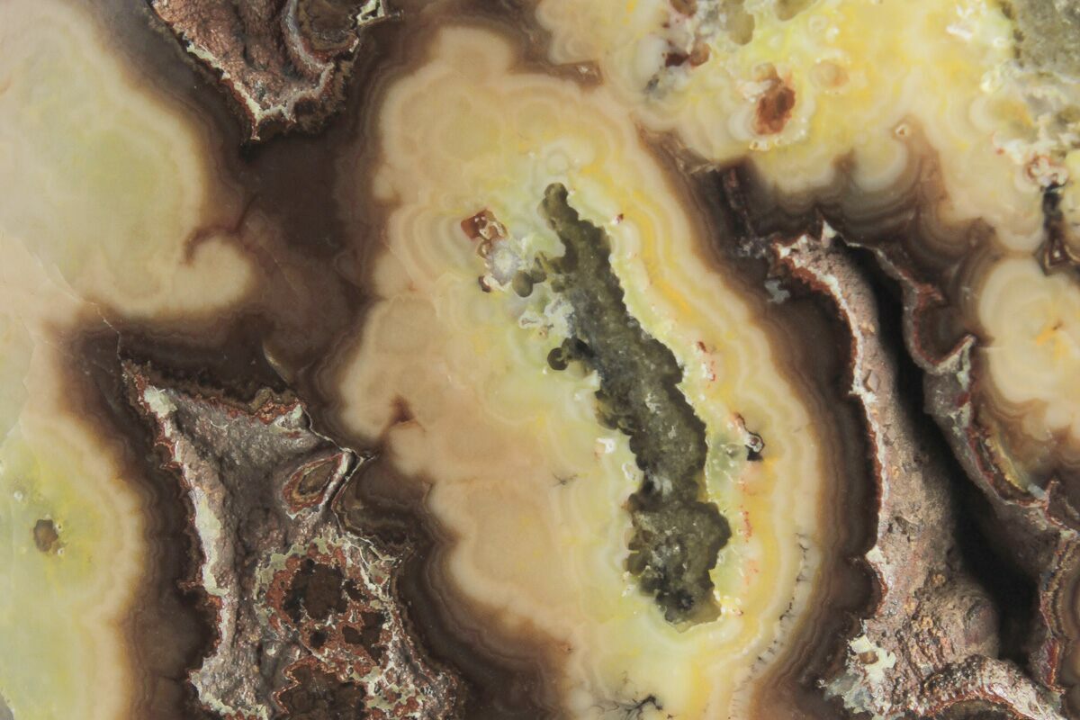 .97" Polished Botryoidal Yellow Smithsonite - New Mexico (#209530) For ...