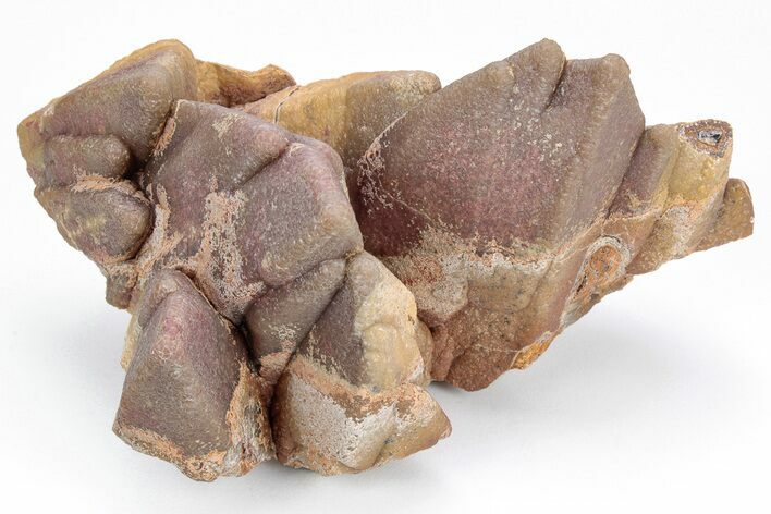 6.2" Botryoidal Smithsonite Pseudomorph After Scalenohedral Calcite ...