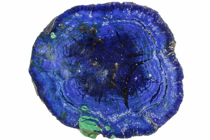 1.48" Vivid Blue, Cut/Polished Azurite & Malachite Nodule Slice ...