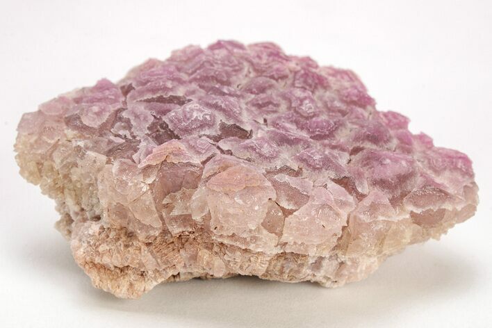 2.95" Cobaltoan Calcite Crystal Cluster - Bou Azzer, Morocco (#215064 ...