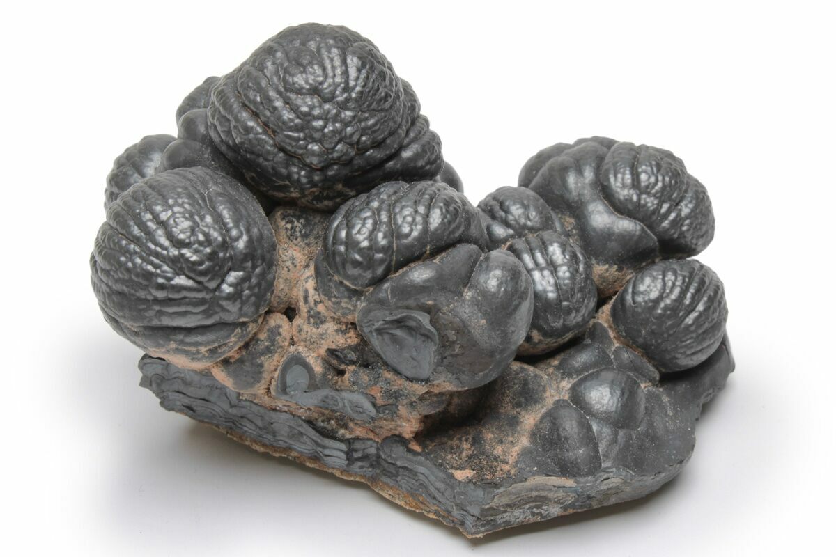 2.8" Botryoidal Goethite Formation - Taouz, Morocco (#215742) For Sale ...