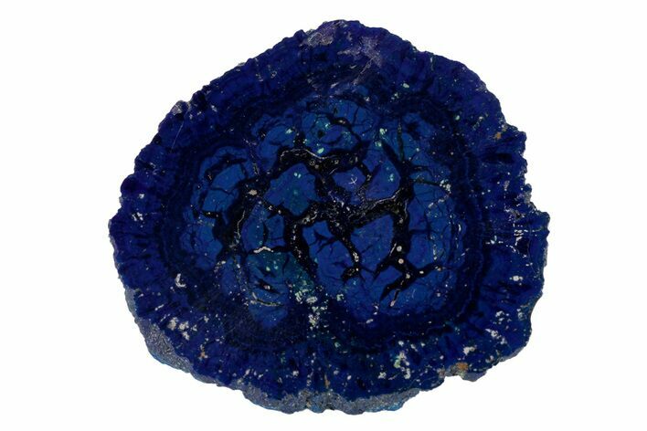 1.5" Vivid Blue, Cut/Polished Azurite Nodule Slice - Siberia (#209521 ...