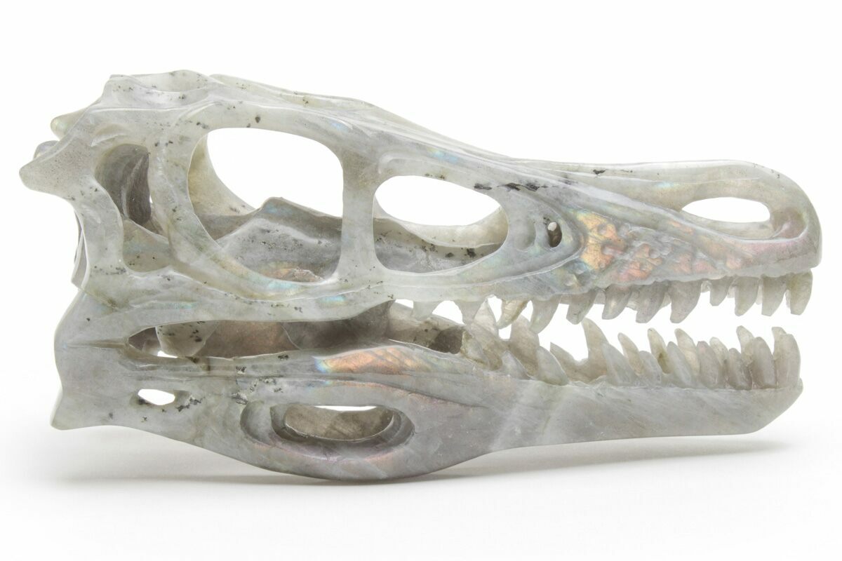 5" Carved Labradorite Dinosaur Skull (#218492) For Sale - FossilEra.com