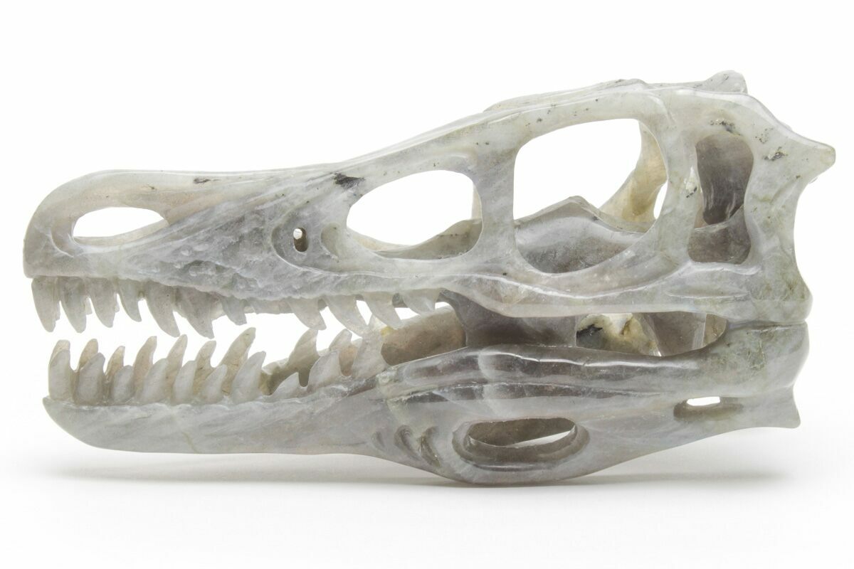 5" Carved Labradorite Dinosaur Skull (#218492) For Sale - FossilEra.com