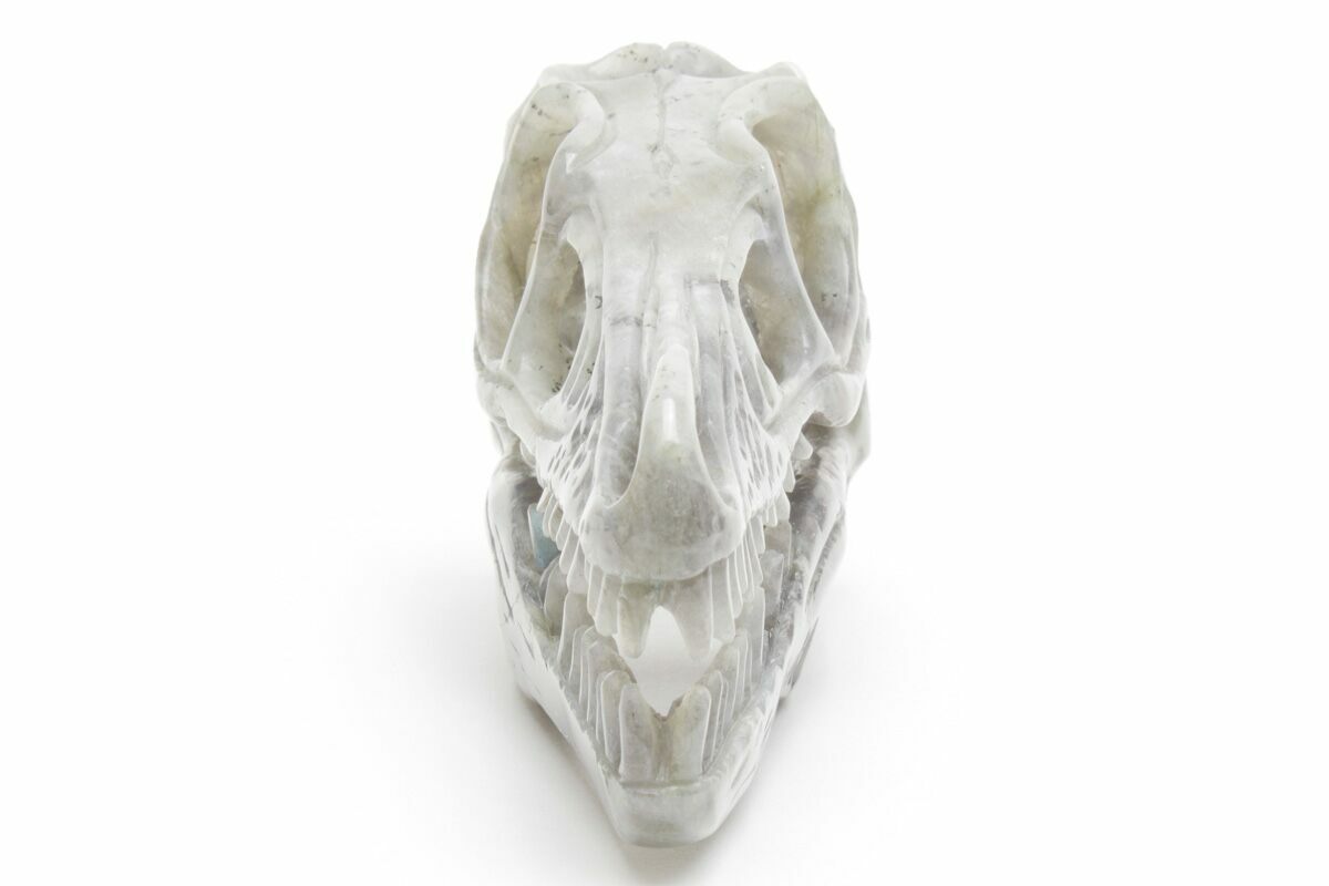 5" Carved Labradorite Dinosaur Skull (#218492) For Sale - FossilEra.com