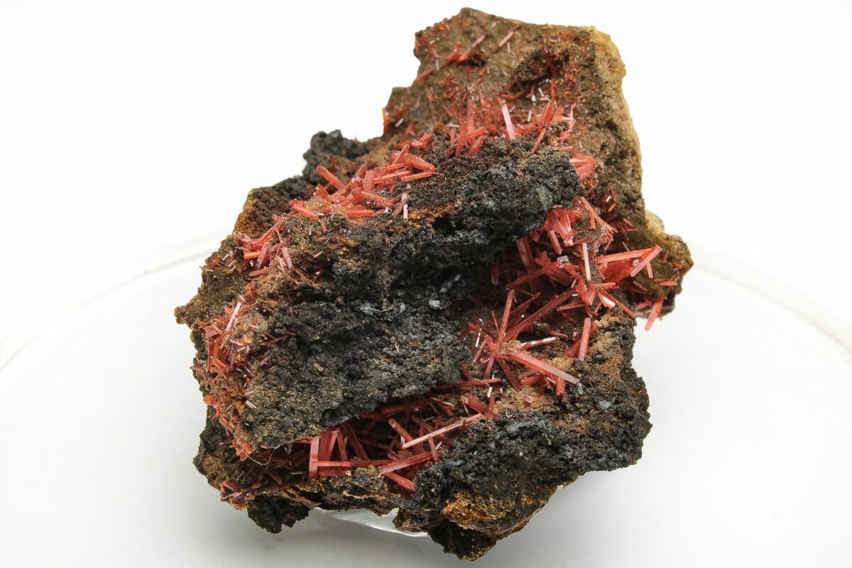 1.7" Bright Orange Crocoite Crystal Cluster - Tasmania (#218746) For ...
