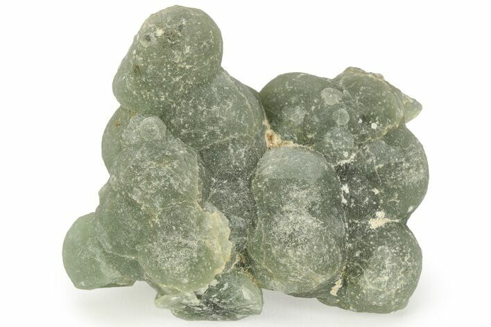 2.8" Botryoidal Prehnite - Mali (#219530) For Sale - FossilEra.com