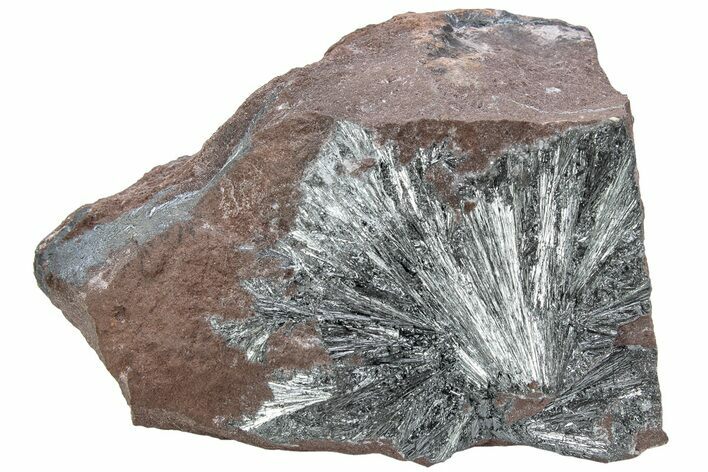 4.1" Metallic, Needle-Like Pyrolusite Crystals - Morocco (#220657) For ...