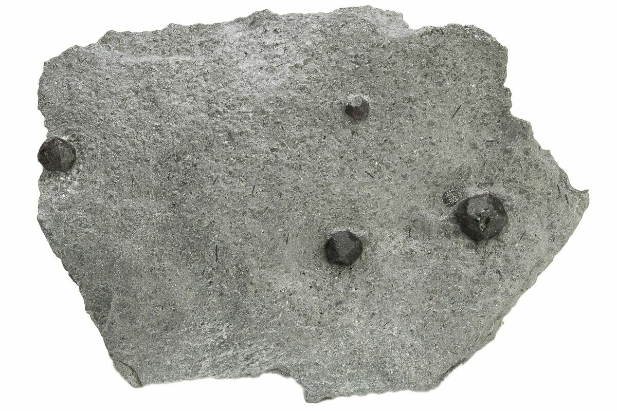 5.3" Plate of Four Red Embers Garnets in Graphite - Massachusetts ...