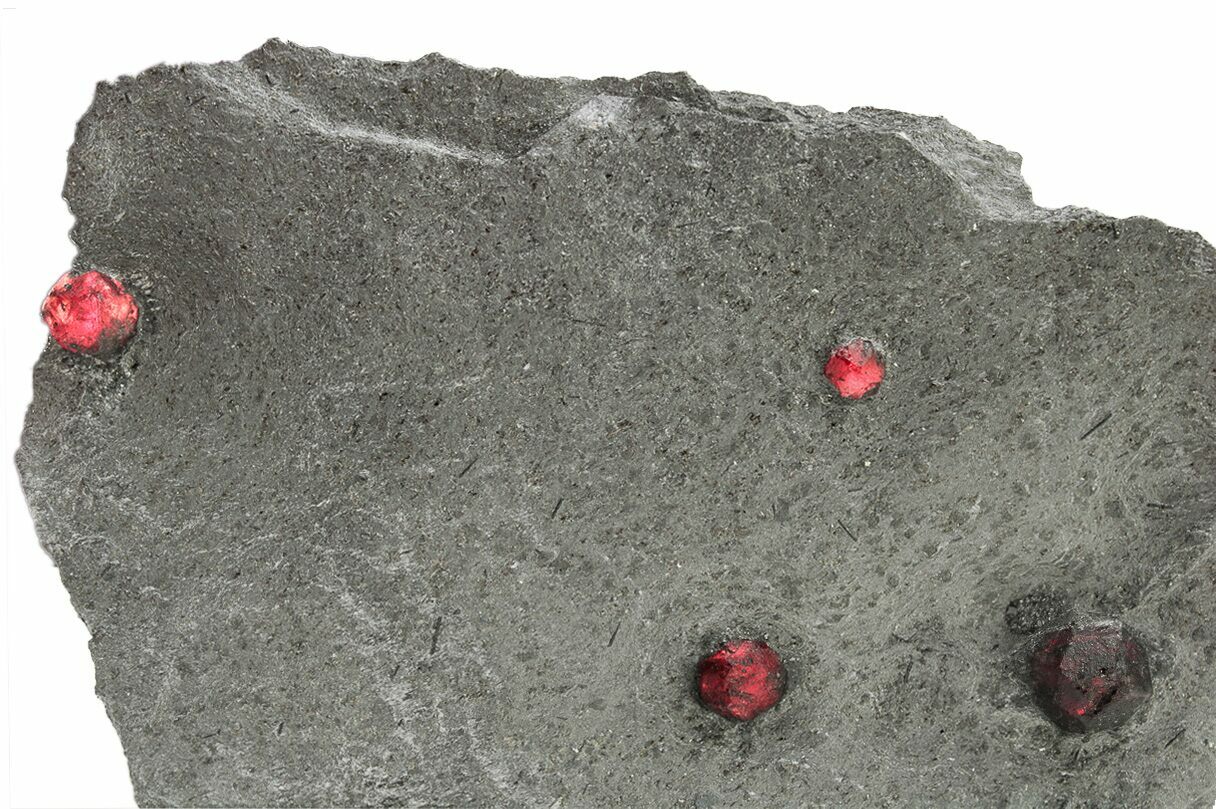 5.3" Plate of Four Red Embers Garnets in Graphite - Massachusetts ...