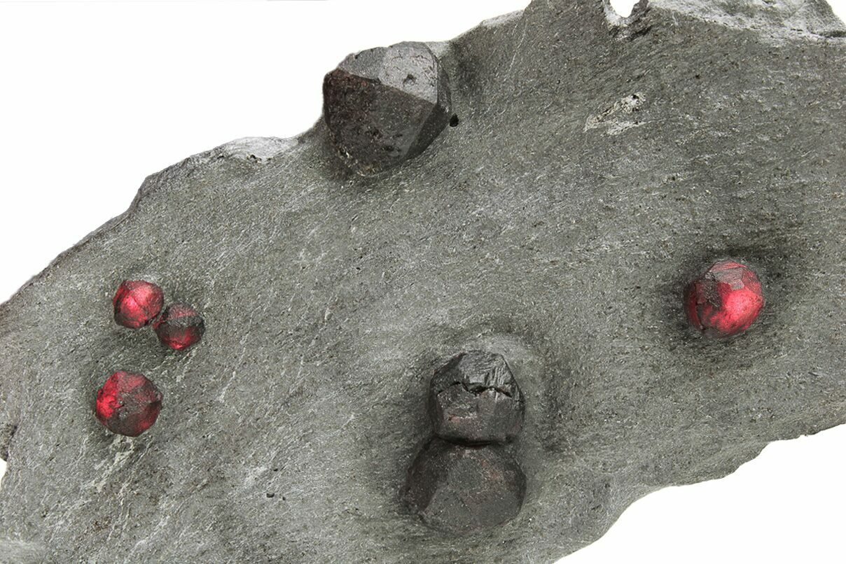 5.8" Plate of Seven Red Embers Garnets in Graphite - Massachusetts ...