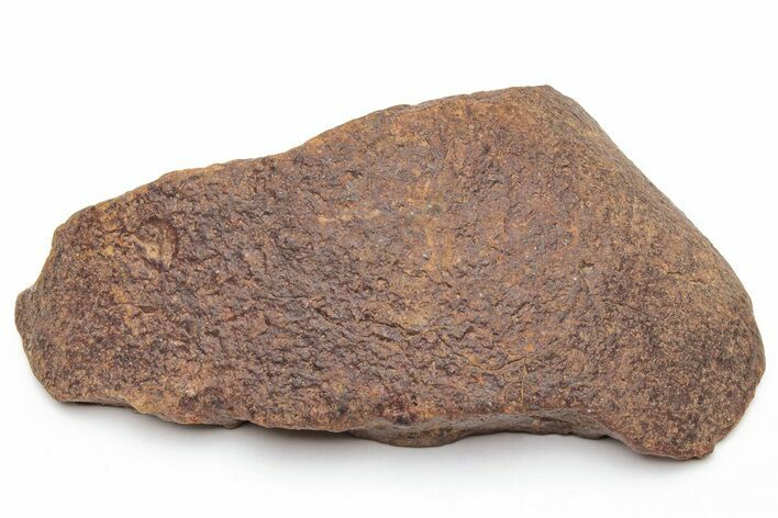 3.4" Chondrite Meteorite (134 g) - Western Sahara Desert (#226934) For ...