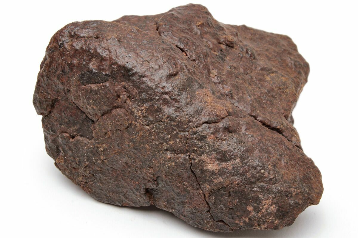 2.65" Chondrite Meteorite (157 g) - Western Sahara Desert (#226940) For ...