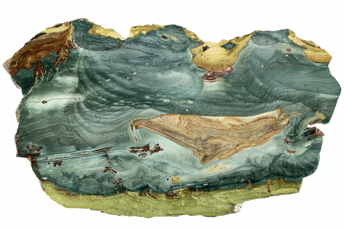 9.6" Gary Green Jasper (Larsonite) Bog Wood Slab - Oregon (#227923) For ...
