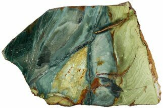 7" Gary Green Jasper (Larsonite) Bog Wood Slab - Oregon (#227940) For ...