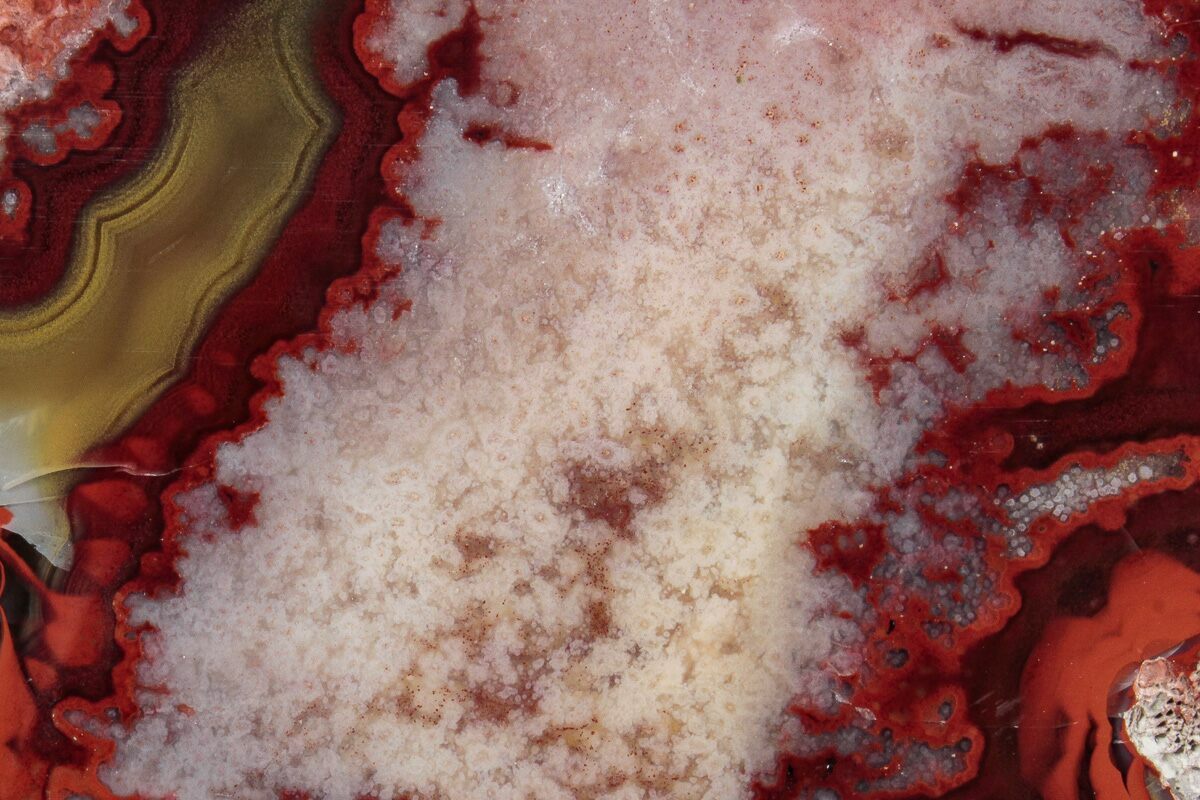 8.4" Polished Paint Rock Agate Slab - Tennessee (#229076) For Sale ...