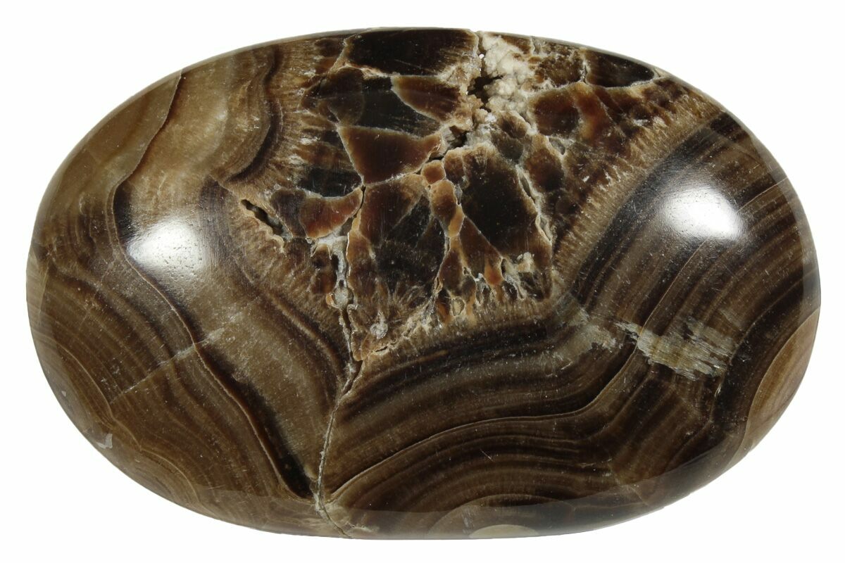 3.1" Polished Chocolate Calcite Palm Stone - Pakistan (#220945) For ...