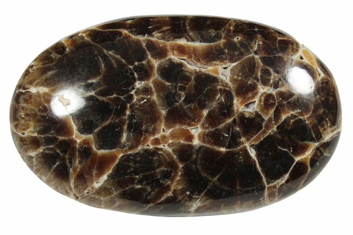 2.9" Polished Chocolate Calcite Palm Stone - Pakistan (#220953) For ...