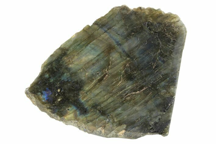 3.6" Single Side Polished Labradorite Section - Madagascar (#230264 ...