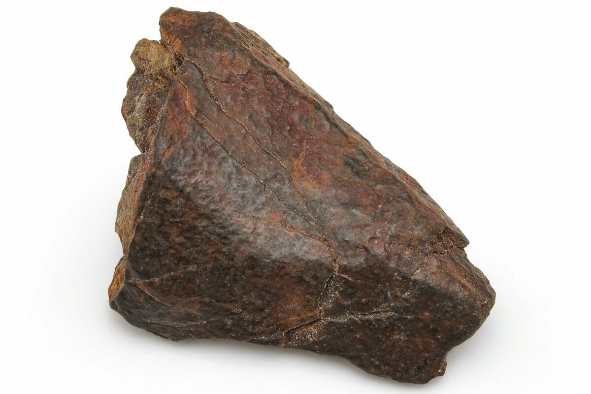 2" Chondrite Meteorite (43 g) - Western Sahara Desert (#232109) For ...