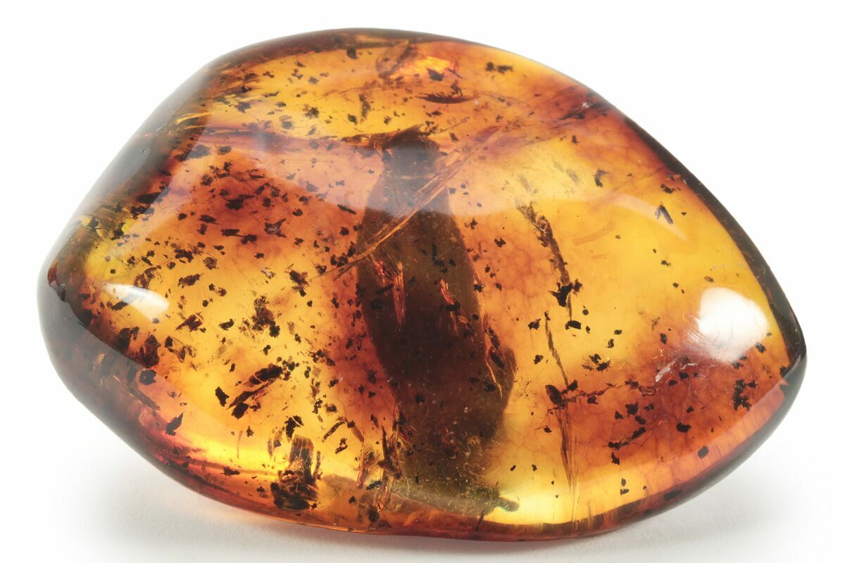 1.7" Polished Chiapas Amber (10.5 g) - Mexico (#232594) For Sale ...