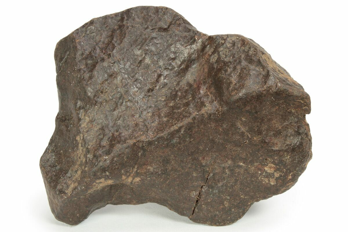 3.3" Chondrite Meteorite (321 g) - Western Sahara Desert (#232954) For ...