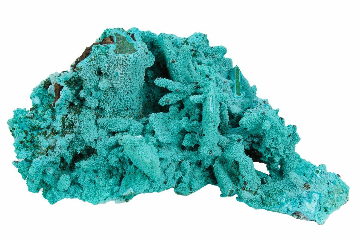 5.1" Chrysocolla and Malachite Pseudomorph - Lupoto Mine, Congo ...