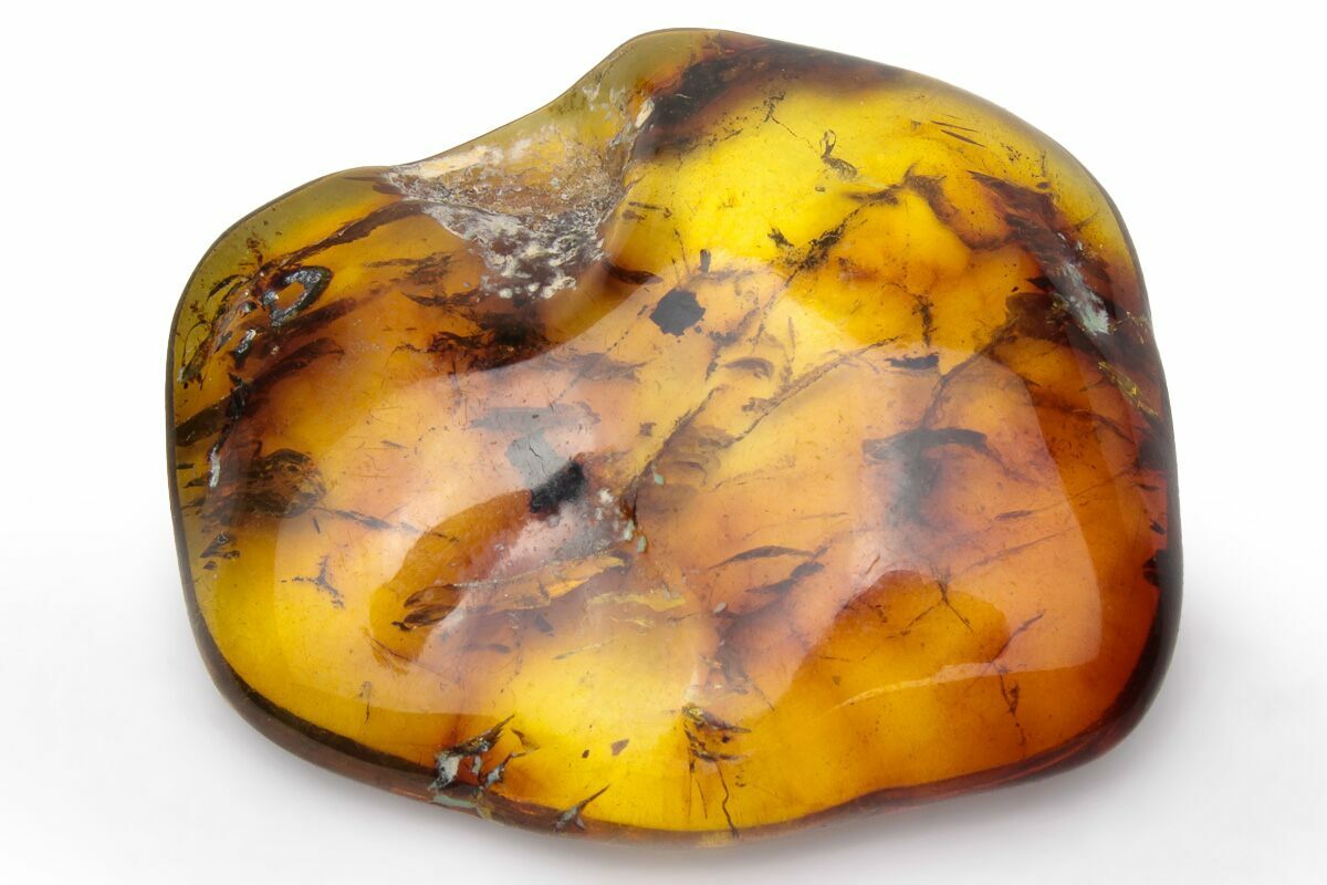 1.3" Polished Chiapas Amber (3.7 g) - Mexico (#237420) For Sale ...