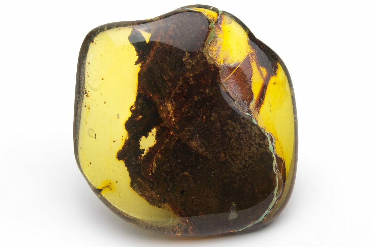 1.3" Polished Chiapas Amber (4.2 g) - Mexico (#237434) For Sale ...