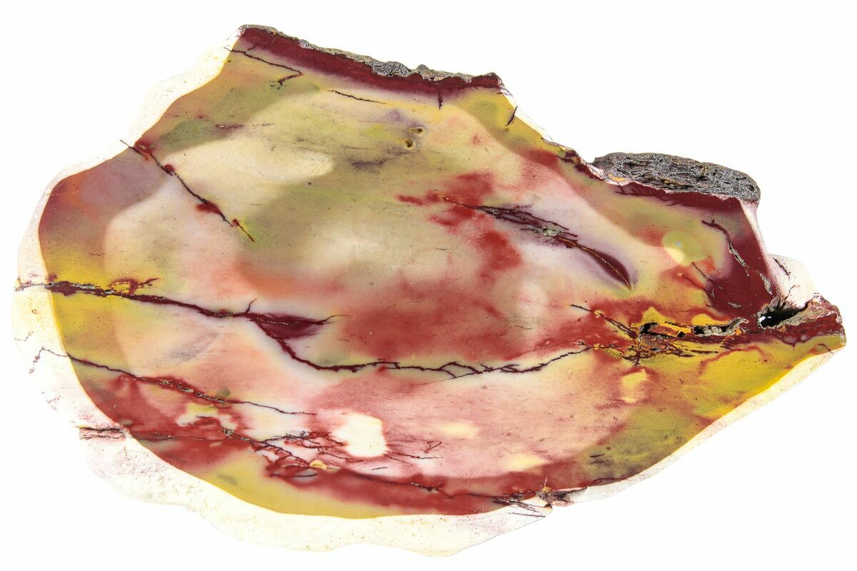 4.2" Colorful, Polished Mookaite Jasper Slab - Australia (#239663) For ...