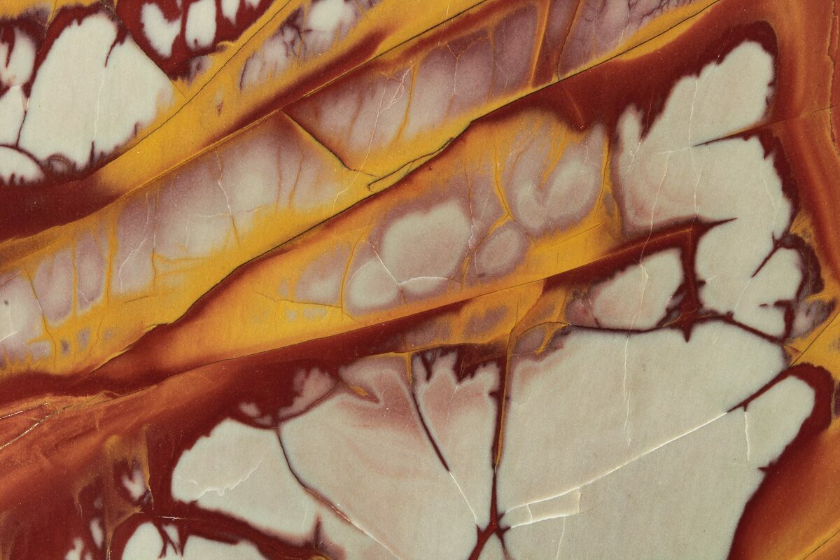 4.2" Polished Noreena Jasper Section - Australia (#239580) For Sale ...