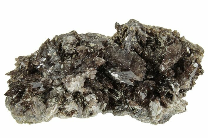 2.6" Lustrous Axinite Crystal Cluster - Dalnegorsk, Russia (#239604 ...