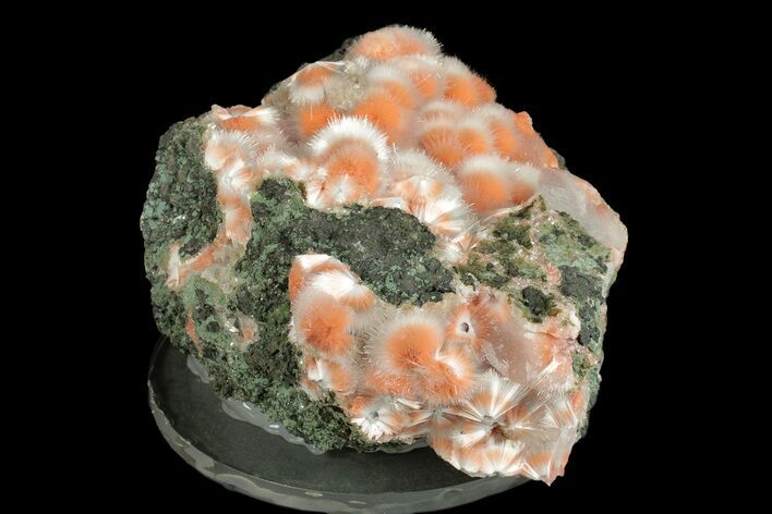 5.15" Thomsonite-Mesolite Crystal Aggregates - New Find (#243814) For ...