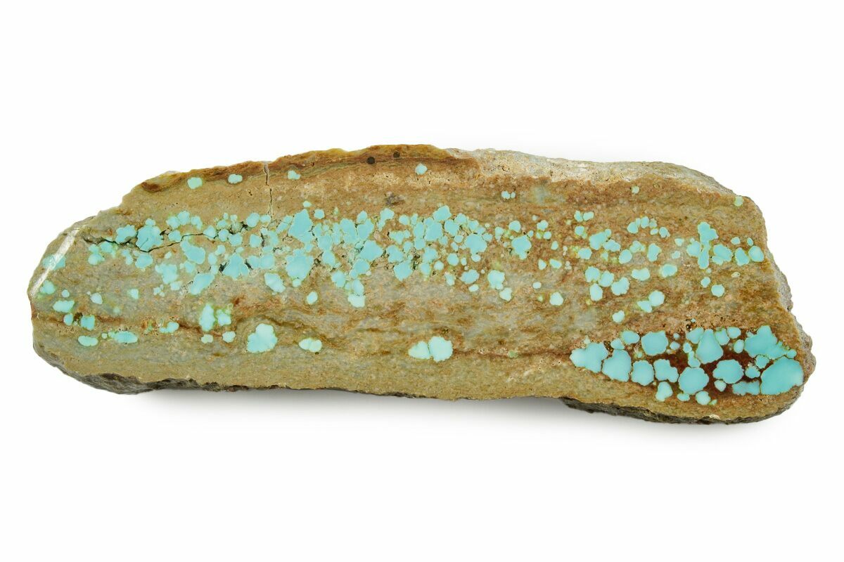 3.8" Polished Turquoise Slab - Number 8 Mine, Carlin, NV (#245509) For ...
