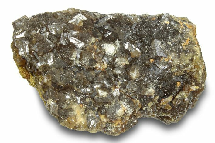 2" Sharp Andradite Garnet Cluster - Stanley Butte, Arizona (#245044 ...
