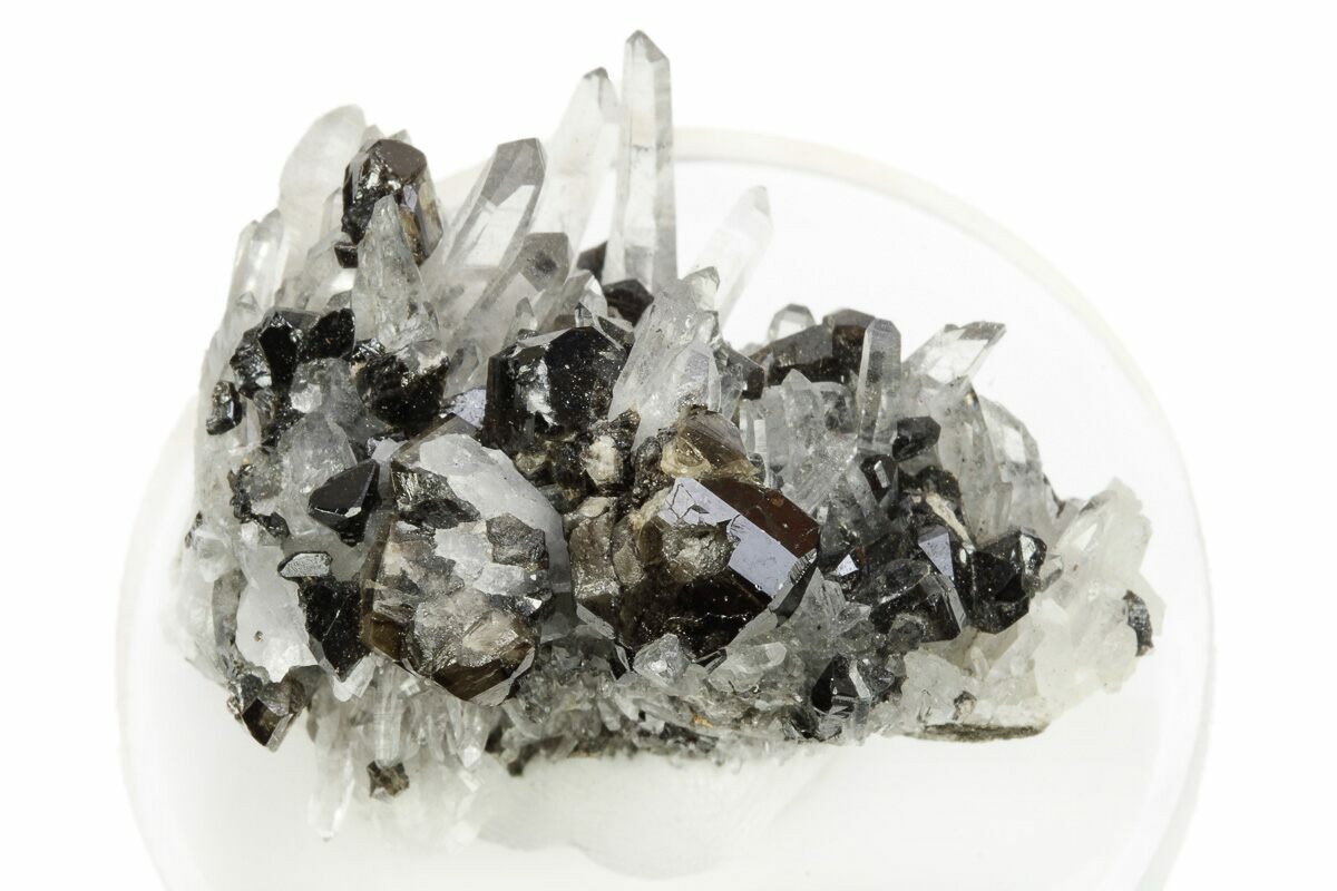 1.7" Gemmy Cassiterite Crystals on Quartz - Viloco Mine, Bolivia ...
