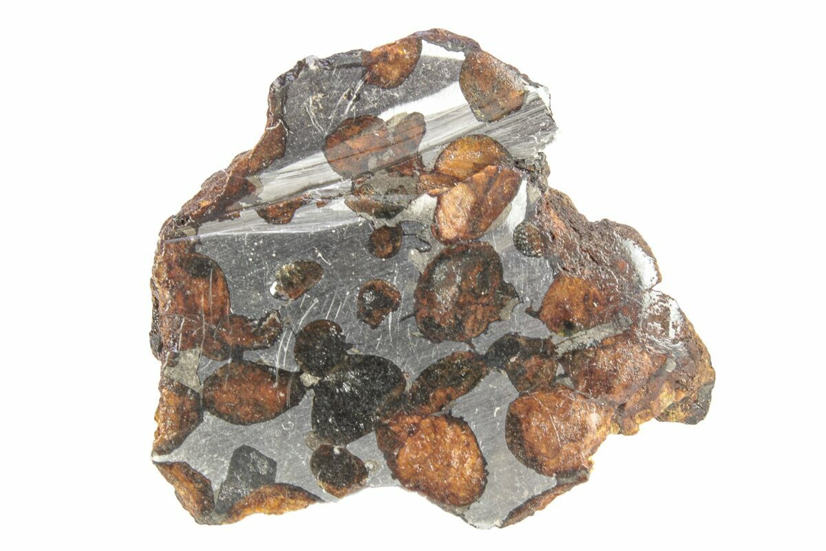 1.5" Polished Sericho Pallasite Meteorite (36.3 g) - Kenya (#246870 ...